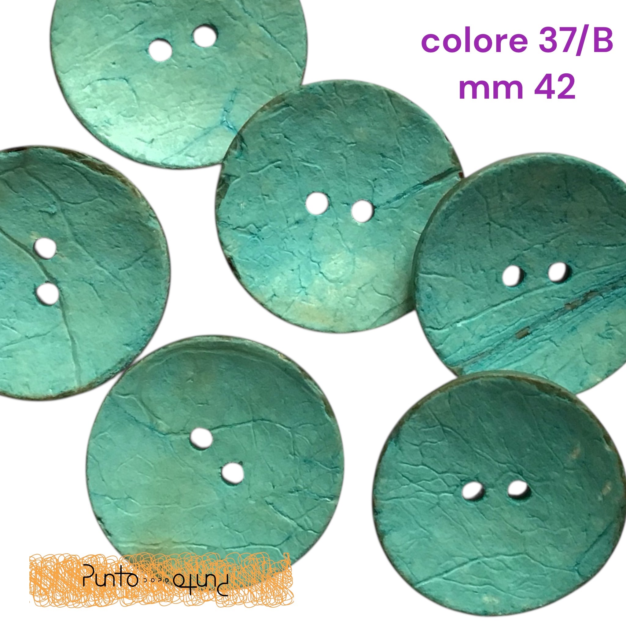 Bottoni Cocco - cod 1587 – Punto dopo Punto